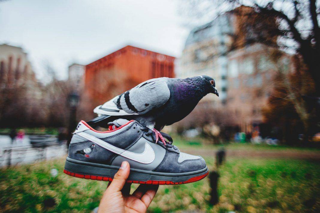 Nike SB Dunk Low - модель кроссовок для скейтбординга | Найк СБ Данк ...
